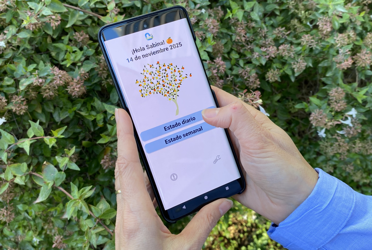 Lalaby-Lung: la app de la UPV que monitoriza la calidad de vida en ...
